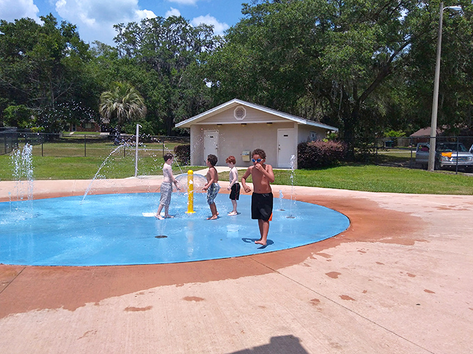Young water enthusiasts test their bravery beneath cascading fountains, discovering that sometimes getting soaked is the whole point of summer.