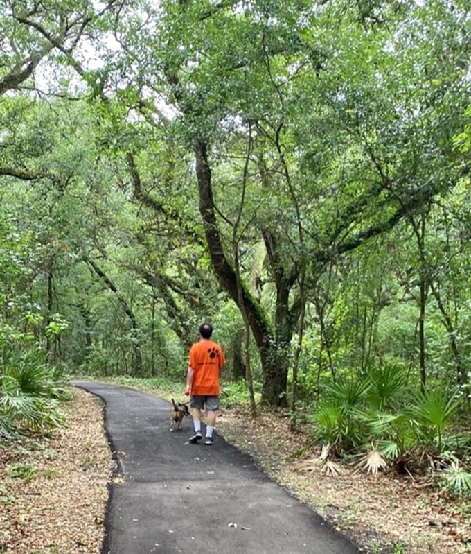 Man's best friend leads the way through a verdant corridor, proving that the best hiking companions have four legs and unlimited enthusiasm.