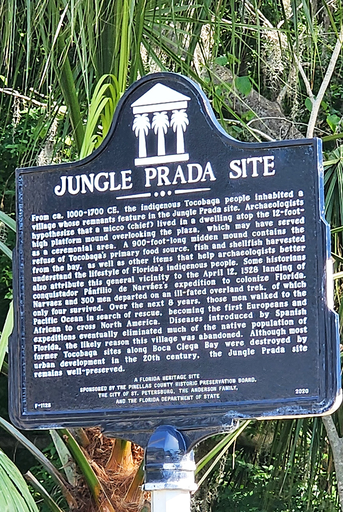 History etched in metal &ndash; this plaque reveals the remarkable story of Tocobaga villagers and ill-fated Spanish explorers.