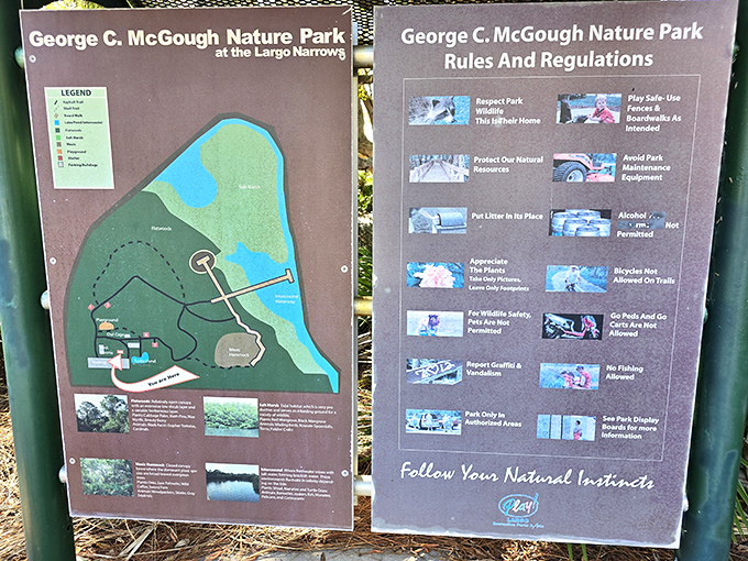 Park information boards transform casual visits into educational adventures, revealing the stories behind what visitors observe.