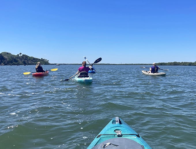 Kayakers paddle through Mosquito Lagoon's crystal waters, getting a dolphin's-eye view of Florida's most diverse estuary.
