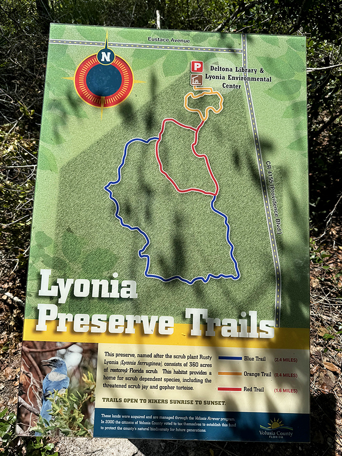 Trail maps guide adventurers through Lyonia's color-coded paths, each offering unique glimpses into scrub habitat wonders.