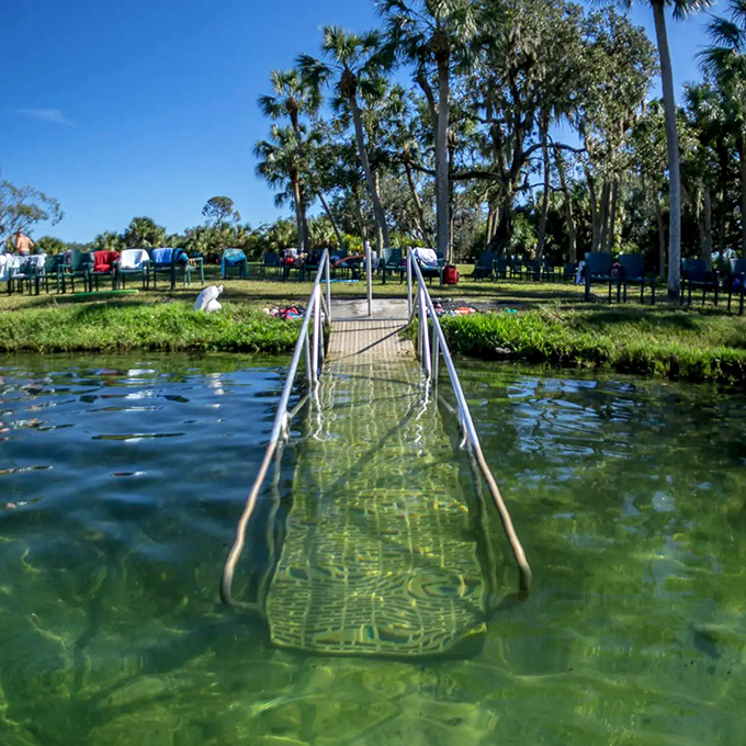 The metal ramp disappears into crystal-clear waters, like a stairway to an underwater heaven filled with healing minerals.