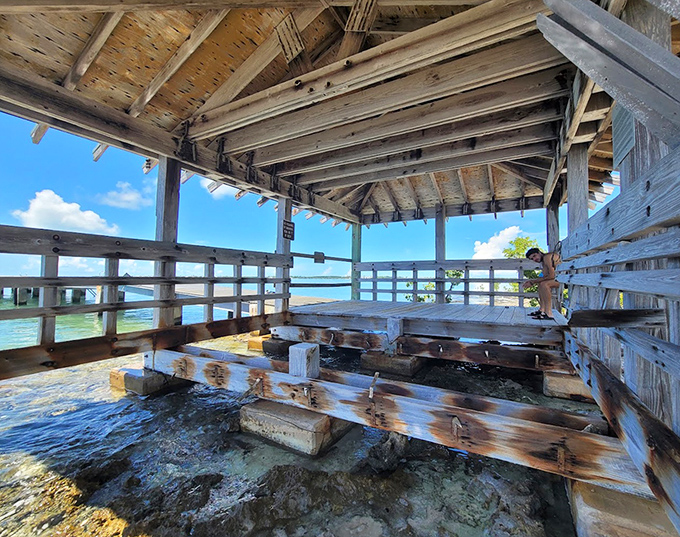 This weathered pavilion has witnessed countless sunrises while sheltering visitors from Florida's enthusiastic sunshine.