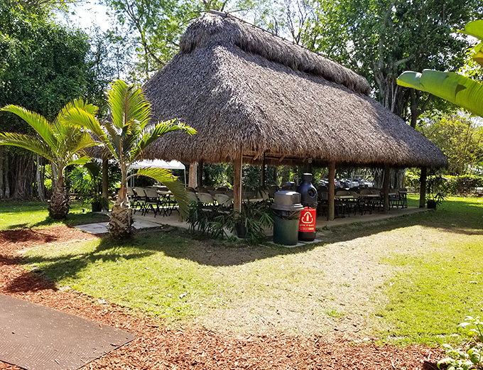 The thatched-roof pavilion offers visitors a shady respite from the Florida sun, blending harmoniously with the tropical landscape.