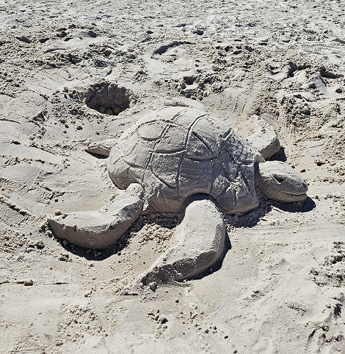 Sand sculpture artistry that proves some Florida beach visitors have talents extending far beyond the basic sand castle skill set most of us possess.