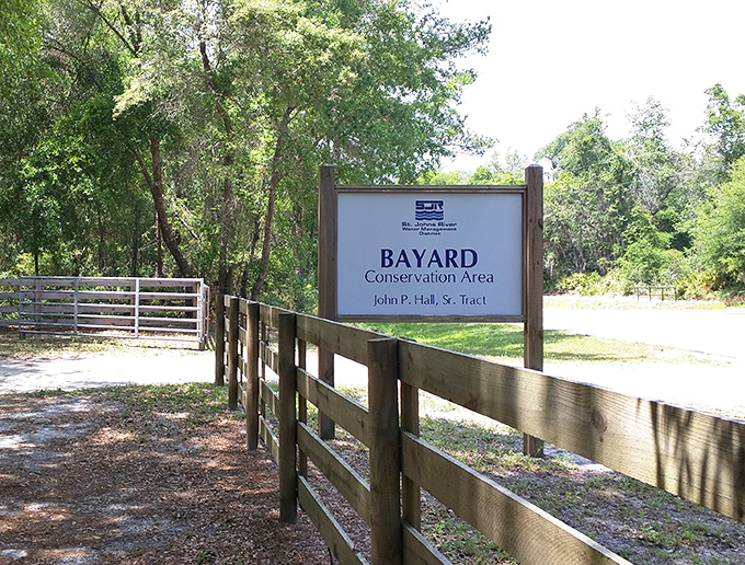 The entrance sign stands as a promise: beyond this point, the modern world fades and wild Florida awaits your discovery.