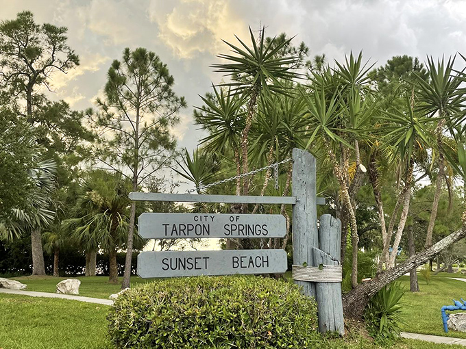 Swaying sentinels: Palm trees dance in the Gulf breeze, their silhouettes creating nature's perfect beach d&eacute;cor.