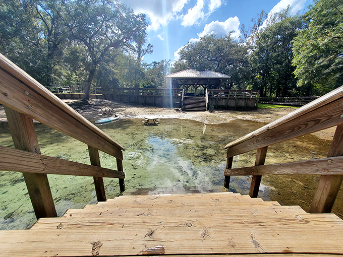 These wooden steps lead to liquid magic &ndash; the moment of anticipation before plunging into the spring's refreshing embrace.