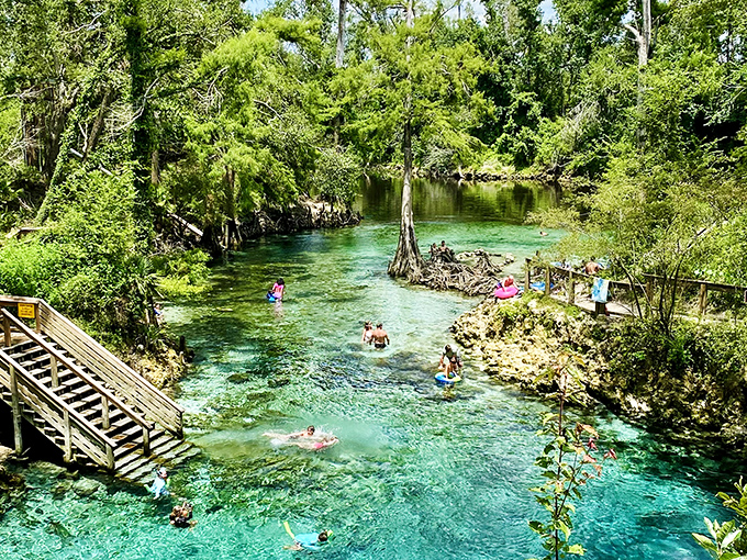 When Florida heat meets spring-fed cool, creating the human equivalent of popcorn as people pop in and out.