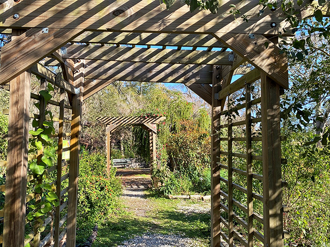 Wooden pergolas create natural frames for the preserve's beauty, inviting visitors to pause and appreciate the view.
