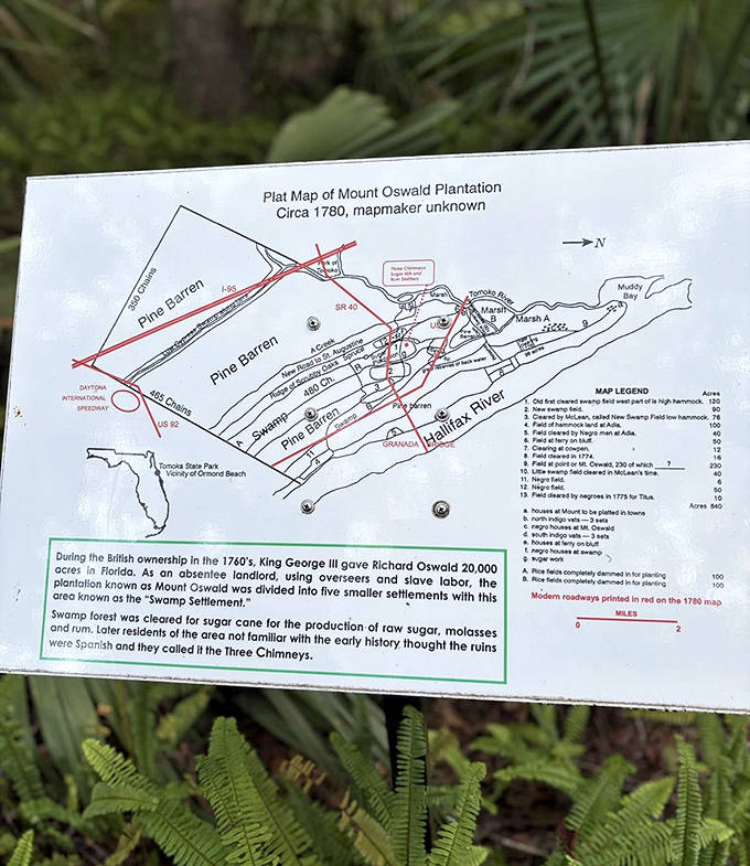 This historical map reveals the vast scale of Mount Oswald Plantation, where King George III's land grant became a sugar empire.