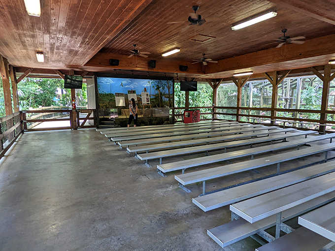 The outdoor amphitheater hosts wildlife presentations where education feels like entertainment and learning happens without anyone noticing.