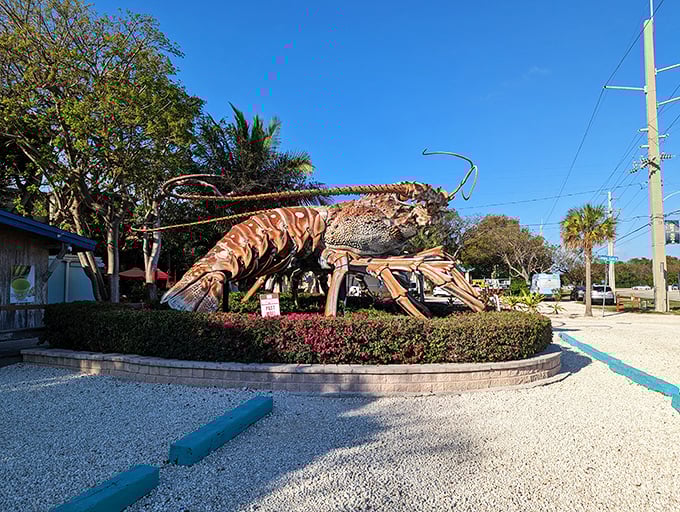 Betsy the Lobster looms large over the Overseas Highway, her massive claws and antennae creating an unmistakable Florida Keys landmark.