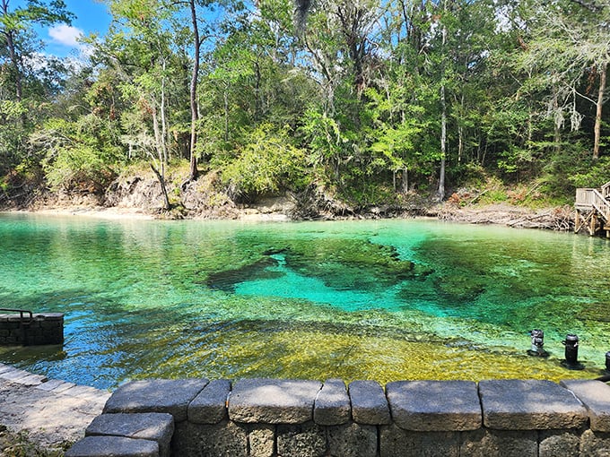 Little River Springs' clear waters reflect the surrounding wilderness, creating a perfect natural swimming hole.
