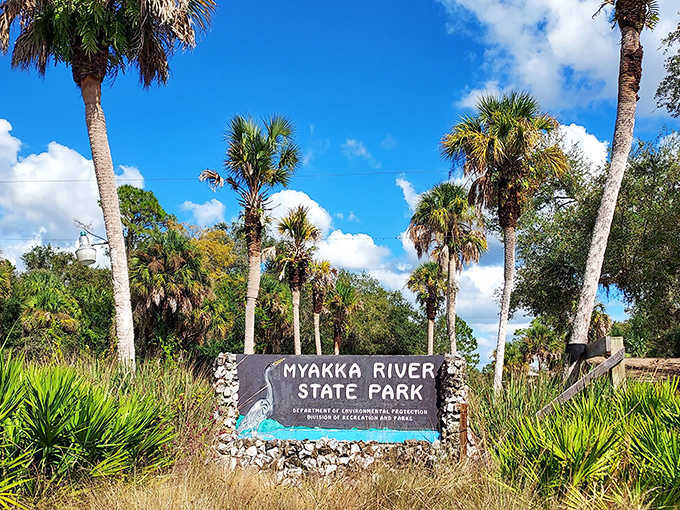 Myakka River State Park's entrance sign stands amid native palms and grasses, gateway to one of Florida's wildest spaces.