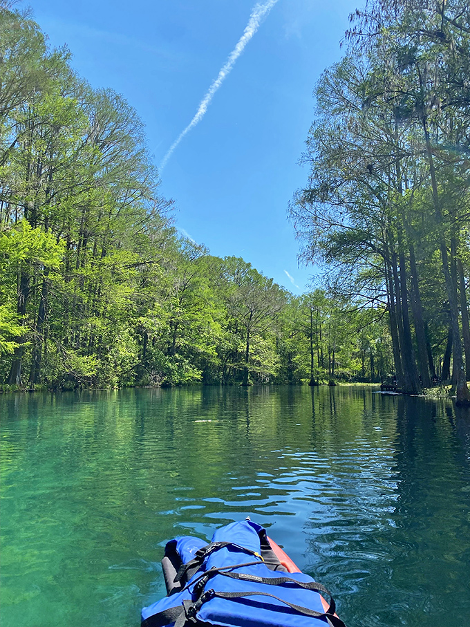 Dunnellon's Rainbow River offers crystal-clear waters perfect for kayaking through cypress forests and spotting wildlife.
