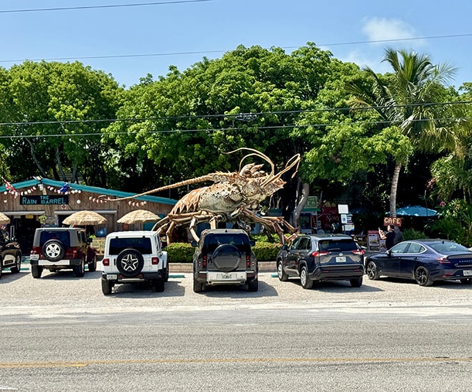 This roadside crustacean guards the entrance to Rain Barrel Village, proving that in the Florida Keys, even the lobsters are larger than life!