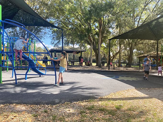 Children play under ancient oaks in a park where nature and recreation blend together perfectly.