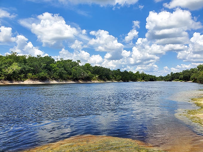 Sunlight illuminates Little River Springs' sandy bottom, revealing underwater features through remarkably clear water.