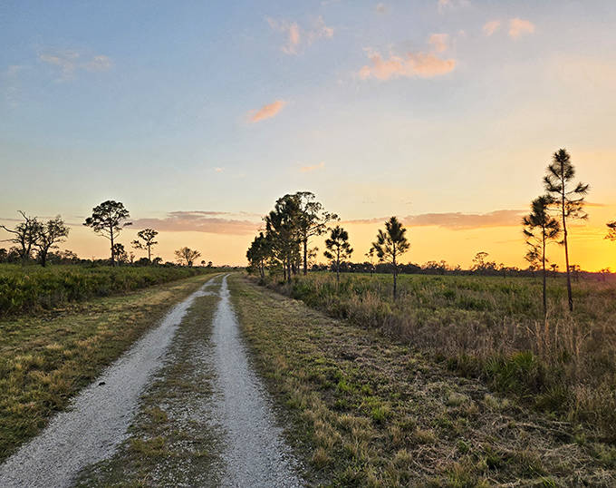 A dirt road stretches toward the horizon at Myakka River State Park, promising wilderness adventures under Florida's vast skies.