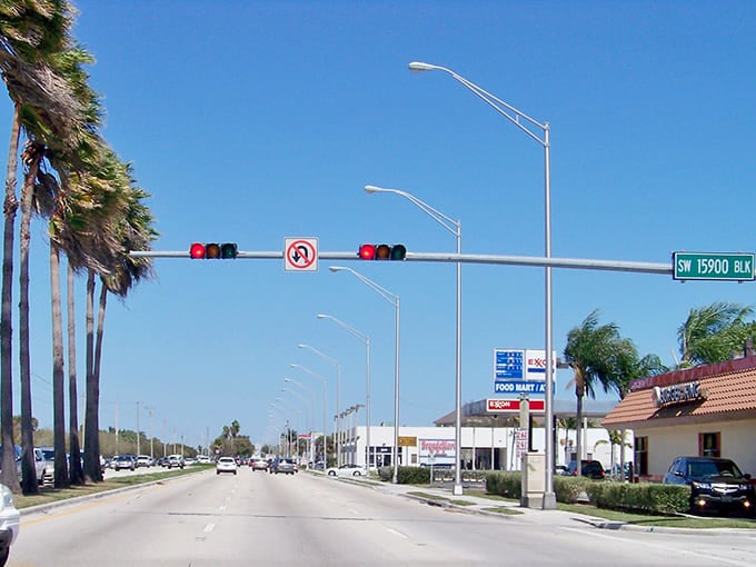 Wide commercial streets with palm trees prove even the practical parts of town can maintain Florida's signature tropical charm effortlessly.