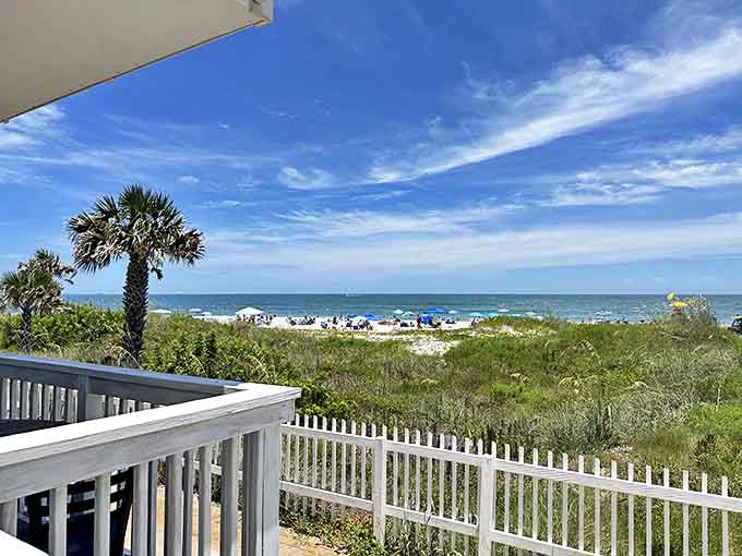 Colorful umbrellas dot the distant shoreline in this sunny view from a white picket fence overlooking the vibrant coastal dunes.