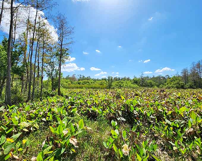 Blue skies and open prairies create the kind of view that makes you understand why people write poetry about nature.