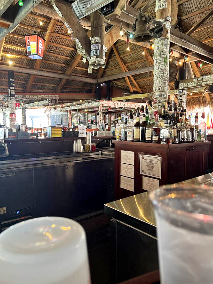 Where dollar bills hang like Spanish moss and cold drinks flow freely beneath a thatched roof paradise.