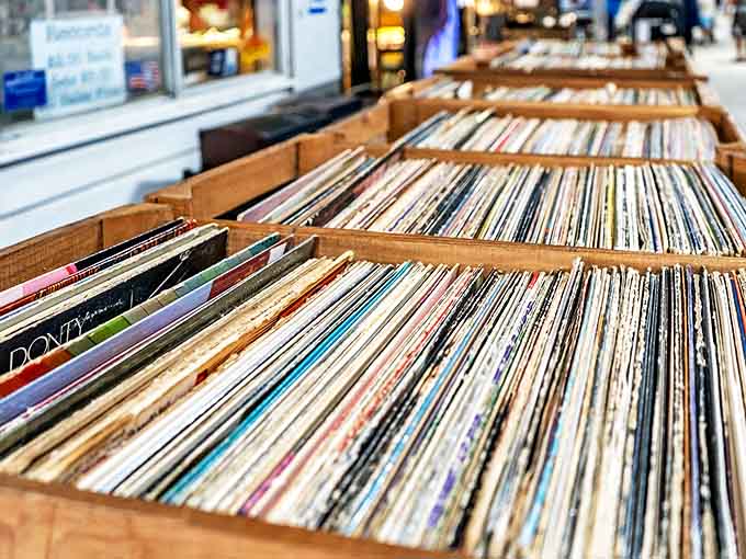 Vinyl revival headquarters &ndash; where analog music enthusiasts dig through history one record at a time, hunting for that perfect forgotten track.