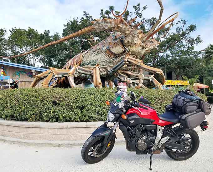 Face to face with Betsy, her friendly expression and impressive presence create an instant connection that explains why she's been beloved for decades.