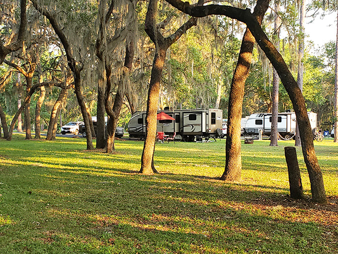 Home away from home: RVs find peaceful respite under ancient oaks, where camping feels less like roughing it and more like luxury.