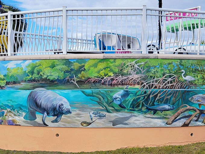 Manatees and mangroves merge in this underwater fantasy, where Charlotte County's aquatic residents throw a permanent pool party.