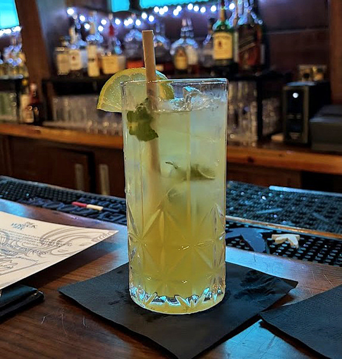 A crystal-clear cocktail garnished with lime and mint, promising tropical refreshment that pairs perfectly with underwater entertainment.