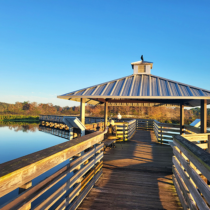 Nature's perfect gazebo. This covered pavilion offers a shaded respite for wildlife watchers and a prime spot for contemplating life's simpler pleasures.
