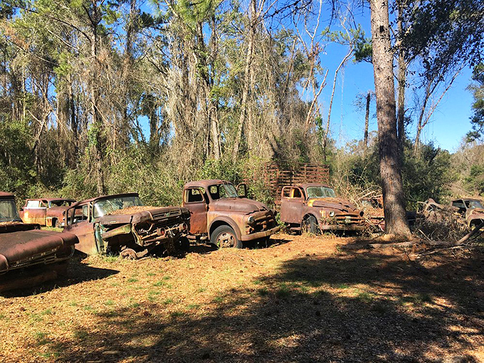 Crawfordville's unintentional automotive museum showcases trucks that once hauled America's dreams, now hauling only memories.