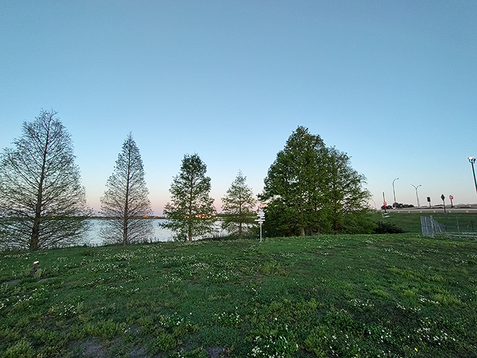 Majestic cypress trees stand like natural monuments, their reflections dancing on the water's surface with each passing breeze.