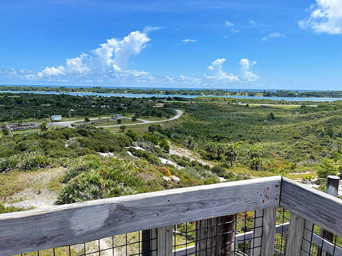 From this elevated perch, visitors can appreciate Florida's subtle topography, where even modest elevation changes create dramatic ecological diversity.
