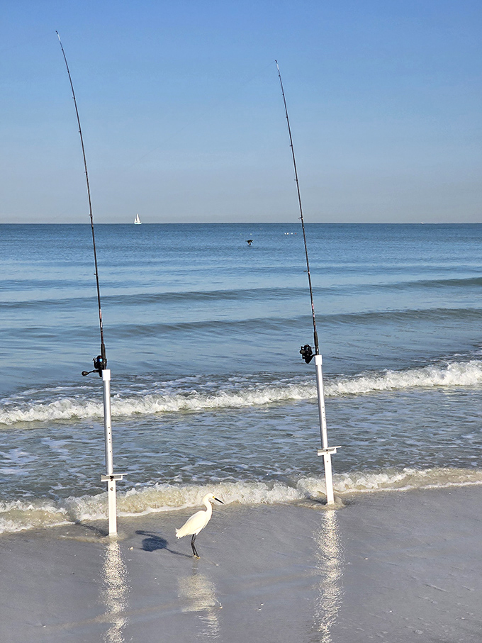 Fishing poles stand at attention like sentinels of leisure, while a curious egret inspects the scene for potential snacks.