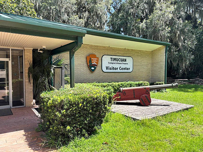 The Timucuan Visitor Center serves as your launching point for adventures in history, complete with knowledgeable rangers and functioning air conditioning.