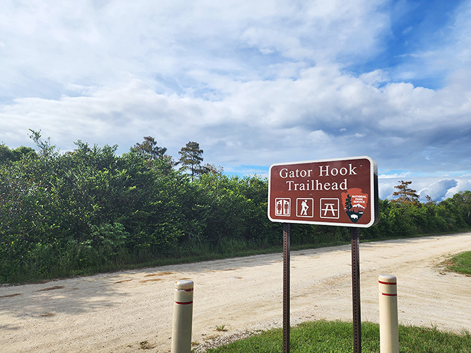 Gator Hook Trailhead stands as a gateway to deeper adventures, where the comforts of vehicles give way to the intimacy of exploring on foot.