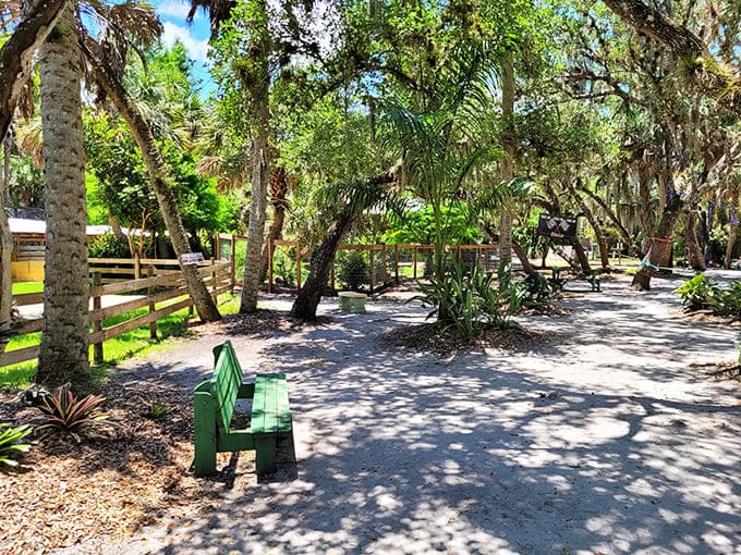 Those shaded pathways wind through a landscape where nature still calls most of the shots, offering respite and remarkable views.