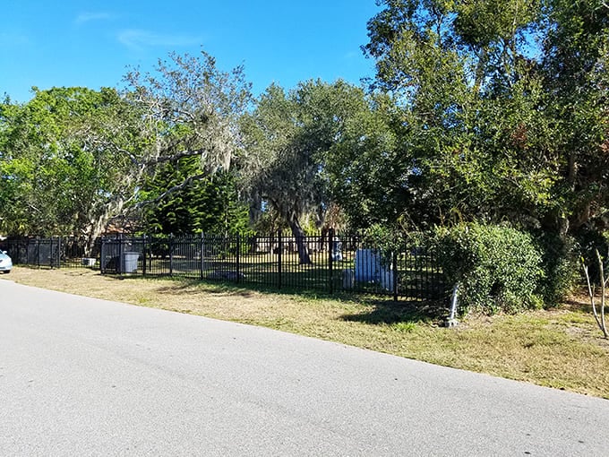 From the street, you'd barely notice this historic gem, which is exactly how the best local secrets manage to stay secret.n 