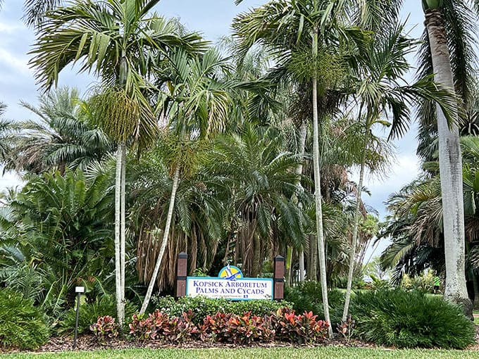 Educational signage helps identify the incredible variety of palms and cycads without making you feel like you're back in school.