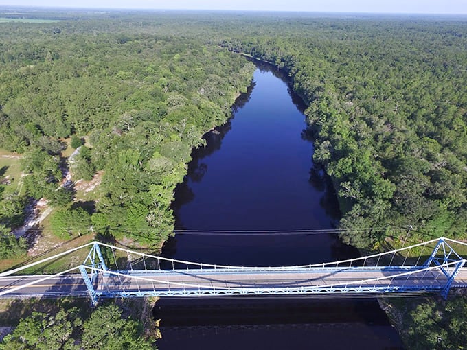 The Suwannee doesn't rush, it meanders, and the bridge crosses it with the same unhurried confidence, like they've reached an understanding.