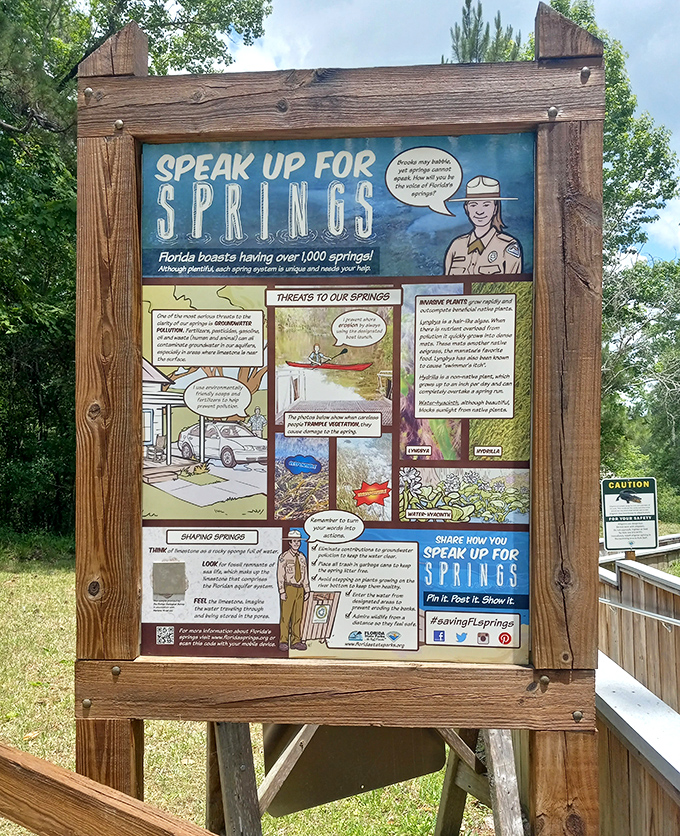 This information board tells the spring's story better than most Netflix documentaries, minus the dramatic music and celebrity narration.