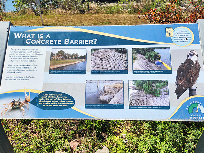 Concrete evidence that education can be fascinating: Informative signage explains coastal engineering without putting you to sleep.