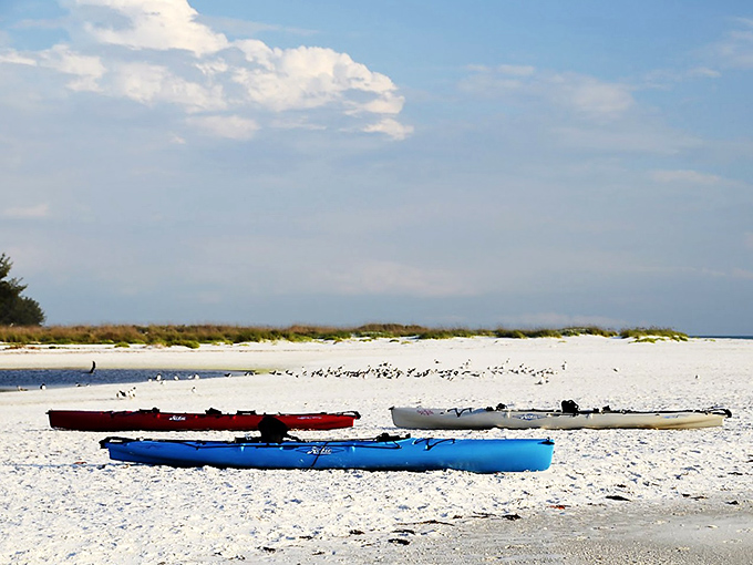 Colorful vessels waiting for their next adventure, like eager puppies saying, "Pick me! Pick me!"
