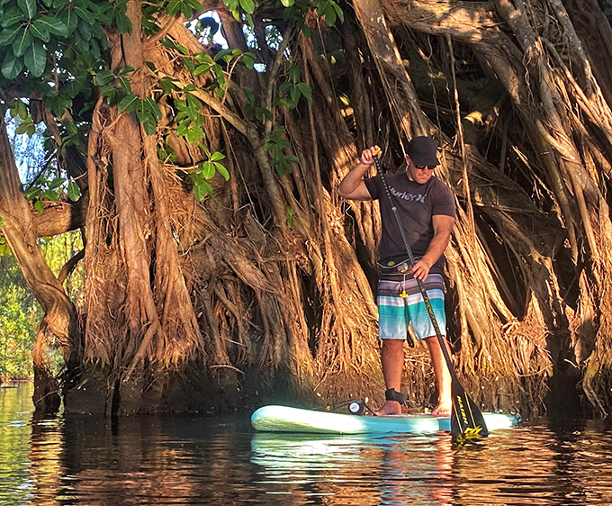A paddleboarder explores ancient mangrove roots &ndash; nature's architecture that was perfecting sustainability long before it became trendy.