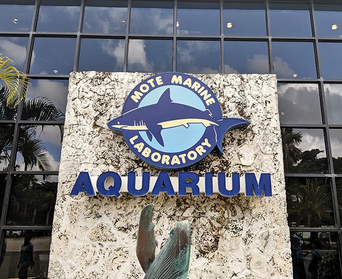 The Mote Marine Laboratory signage promises scientific discovery wrapped in family-friendly fun, and it delivers on both.